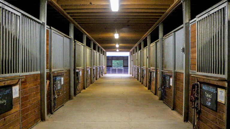 Equestrian Camp — Camp Friendship