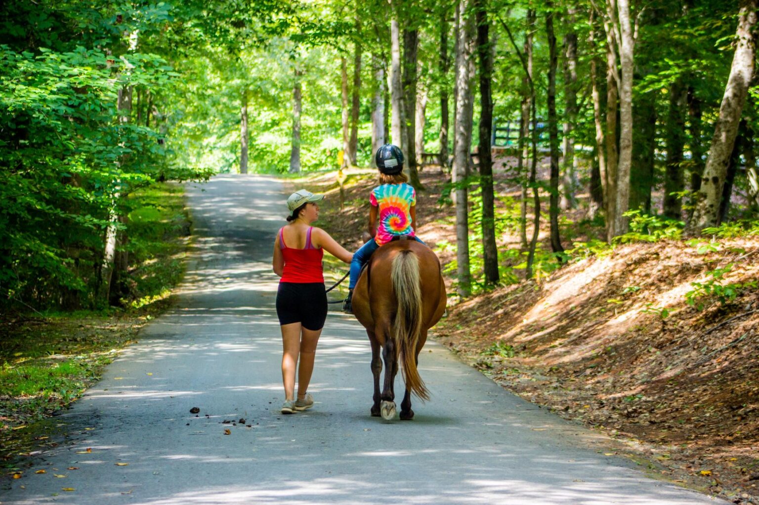 Family Camp — Camp Friendship